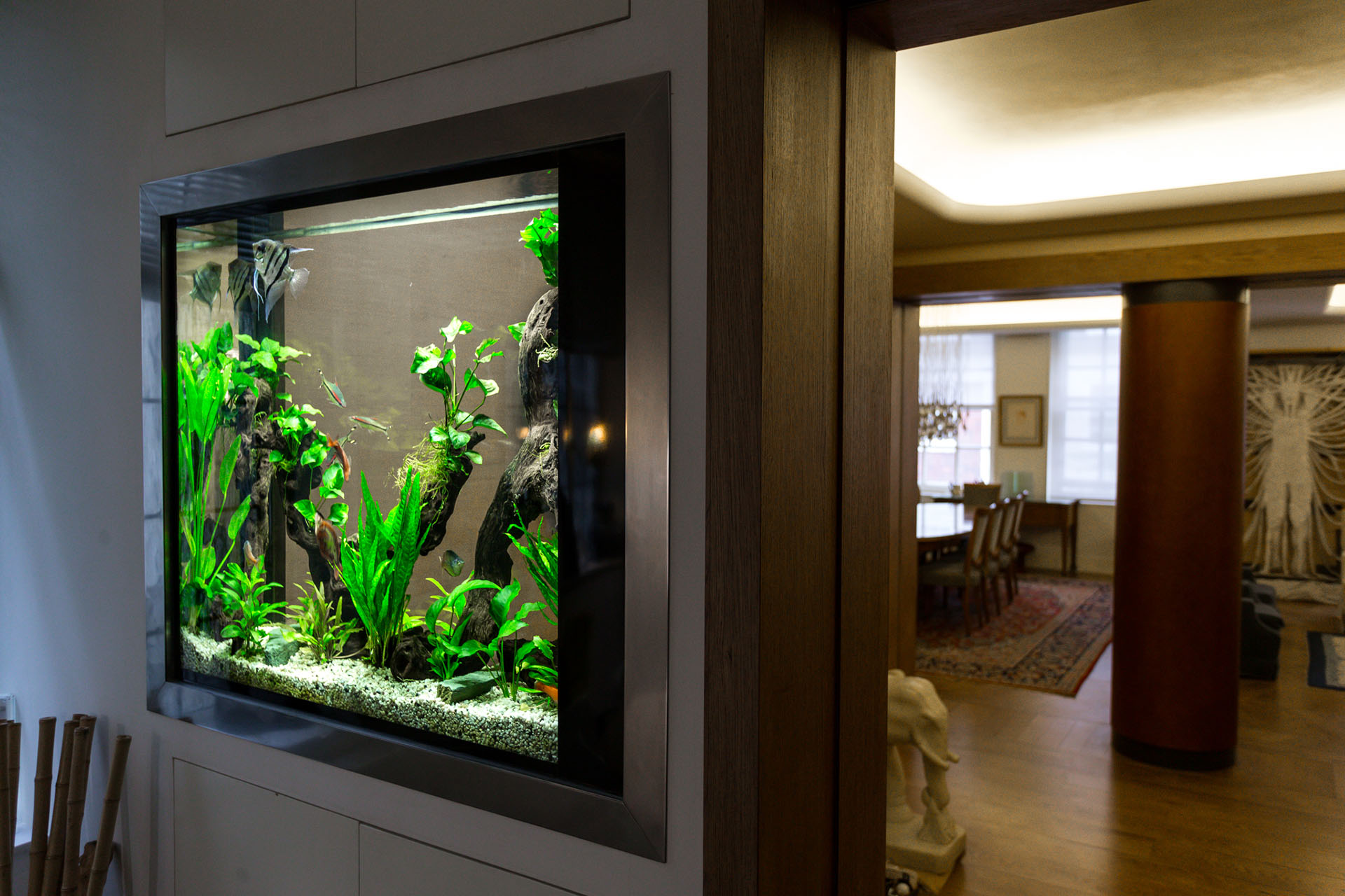 Installation – London Aquariums